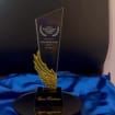 Personalized Crystal Wing Award: Unique Employee Recognition Trophy - Etsy