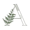 Unique Fern Font Alphabet Monogram Machine Embroidery Design, Script ...