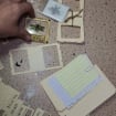 Specimen Entomology Display Craft Kit With Transparent Specimen Cards ...