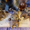 MANDRAKE PLANT- Mandrake Witchy Plants Magic Wonder Fantasy Potions ...