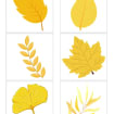 Autumn Color Sorting Activity,color Matching Game,autumn Leaves Colour ...