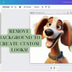 43 PNG Dog Designs, Feisty Friends Bundle, 12 Breeds, Commercial Use ...