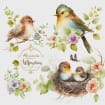 Baby Birds in a Nest Watercolor Collection: Charming Clip Art Designs ...