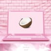 Coconut Coconuts Fruit PNG Bulk Bundle Foods Fruits Palm Tree Clip Art ...