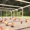 Large Chicken Run Plans 15x40 for 50-60 Chickens (digital Download PDF ...