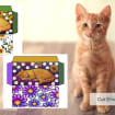 Cat Envelope Savings Set - Etsy