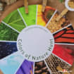 Nature Color Hunt | Nature Colour Activity | Nature Color Wheel ...