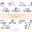 13 Baby Milestone SVG Bundle | PNG | DXF | Baby Gift | Baby Milestone ...