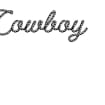 Cowboy Rope Font TTF Western Cowboy Letters SVG PNG - Handwriting Font ...