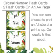 Dinosaur-themed Classroom | Ordinal Numbers Poster | Editable ...