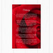 Red Rose Funeral Program Template, Obituary/order of Service Template ...