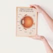 Human Eye Anatomy Poster | Structure of the Eye Educational Wall Art ...