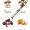 15 Edible Mushrooms Montessori 3 Part Cards|nomenclature Cards|pdf ...