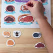 Animals That Hibernate: Hibernating Animal Silhouette Matching Activity ...