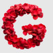 Red Rose Flower Alphabet Rose Leafs PNG Alphabet Love Wedding Font PNG ...