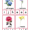 Flowers Beginning Sound,nature Letter Sound,flower Vocabulary,flower ...