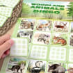 Woodland Animals Bingo Game: Printable Preschool, Kindergarten, Toddler ...