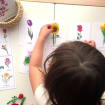 FLOWER Flash Cards and Poster, Printable, Safari Ltd Flower Toob ...