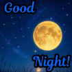 Good Night Animated Twitch Emote (GIF) - Etsy