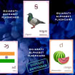 Gujarati Alphabet Flashcards With Pictures, Language Learning (digital ...