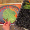 Build a Hamburger Sensory Bin | Hamburger Activity | Sensory Bin ...