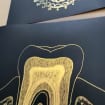 6 Tooth Anatomy Posters Dental Art Tooth Grow Diagram Teeth Types ...