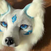 Therian Wolf Mask, White Wolf Mask, Cosplay Frost, Elements Blue Fire ...