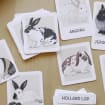 Rabbit Flash Cards Montessori Printable Homeschool Resources Nature ...