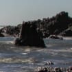 Sunny Beach With Crashing Waves - Printable Photography - Grunta Beach ...