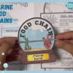 Marine Food Chains Foldable Kids' Craft | Snow Globe | Food Web ...