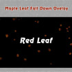 Animated Maple Leaf Falling Down Twitch Overlay / Animated Red Yellow ...