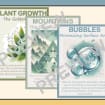Math in Nature Poster Set: Boho STEM Classroom Decor Bulletin Board ...