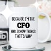CFO Mug for Chief Finance Officer, Business Money Management Grad ...