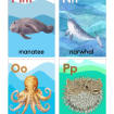 Ocean Alphabet Cards,ocean Animal Flash Cards,montessori,world Ocean ...