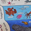 Ocean Zones Poster and Flipbook, 5 Ocean Layers, Habitat Craft, Kids ...