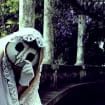 Set of 2 - Barn Owl Masks for Group & Couples Costume, Two Halloween ...