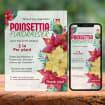 Poinsettia Fundraiser Flyer, Christmas Flowers, Plant Flower Sale ...