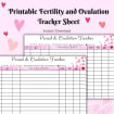 Printable Fertility Tracker | TTC Cycle Chart, Basal Body Temperature ...
