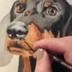 Hand-painted Portrait of a Pet. Pet Portrait Painting. Custom Dog ...