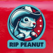 RIP Peanut the Squirrel Decal Sticker – Vibrant Color Memorial Vinyl ...