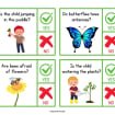 Spring Question Card,yes or No Question,spring Activities,spring Task ...