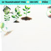 Watercolor Sprout to Life Clipart, Plant Growth Process Illustrations ...