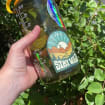 Stay Wild Sticker - Vinyl Sticker 3x2.5 - Outdoors Adventure ...