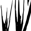Three Fates, Vector Graphic SVG, PNG and JPG Image of the Three Viking ...