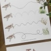 Turtle Preschool Unit: Letter T Activities (PDF Download) - Etsy