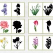 Flower Shadow Matching Cards: Montessori Learning Game (PDF Download ...