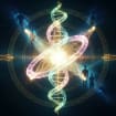 First Stage DNA Helix Activation – Two Strand Awakening, Dormant ...