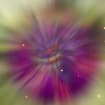Ghost Type Gengar Stained Glass Suncatcher Spooky Ghost Gengar Window ...