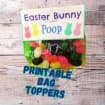 EASTER BUNNY POOP Printable Bag Topper Tags | Easter Basket Holiday ...