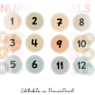 Printable Boho Neutral Number Labels, Number Tags, Cubbies Labels, Book ...